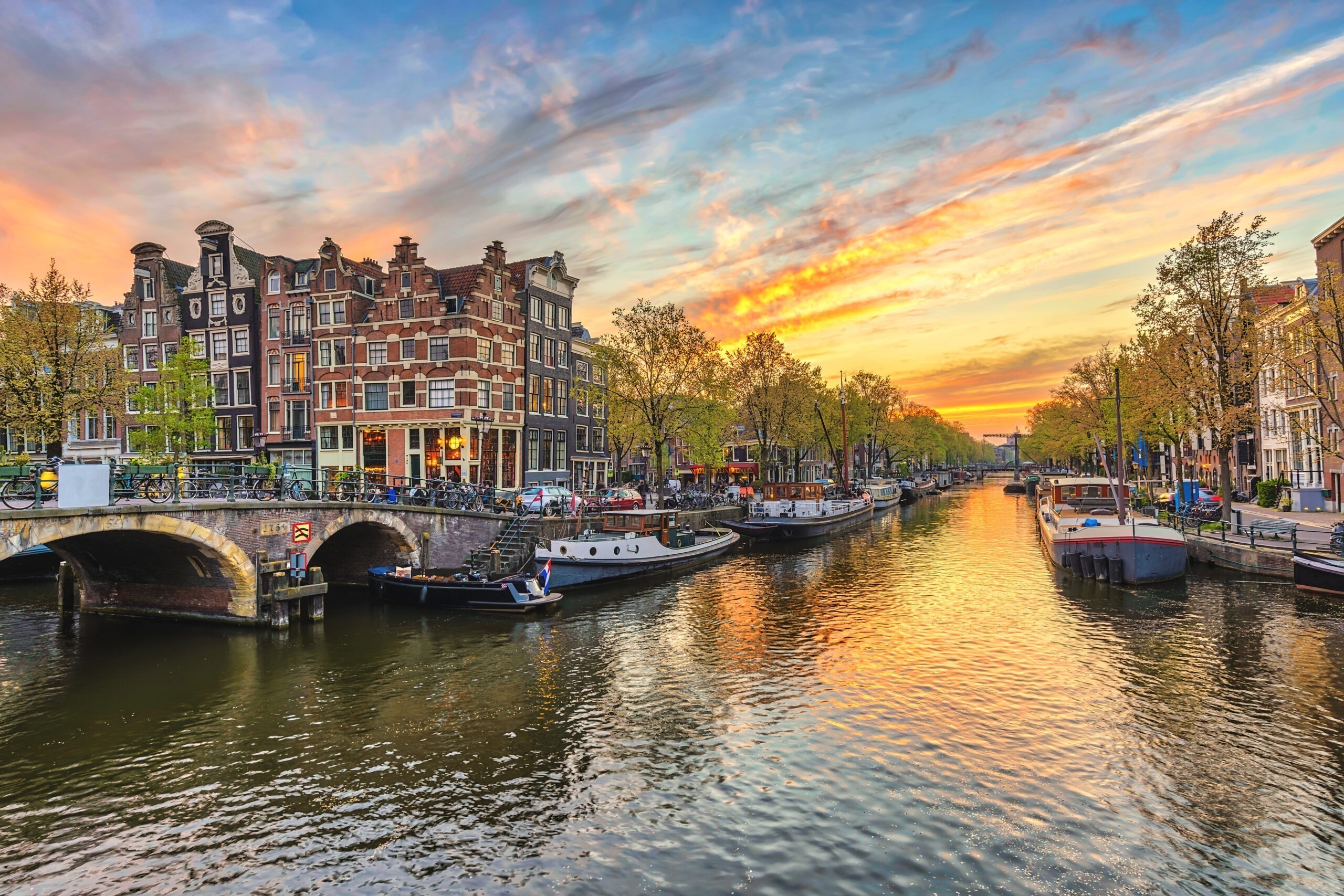 VAT Number Netherlands 2024 Format Country Code Hellotax